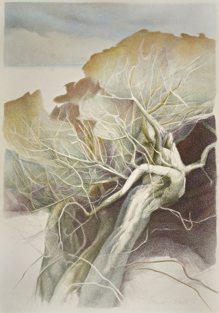 Nachmittagsbaum - Künstlerdatenbank und Nachlassarchiv Niedersachsen